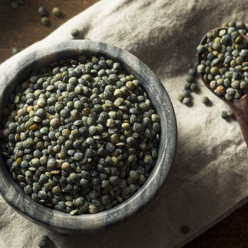 Homestead Organics – linking organic producers and consumers for 30 years